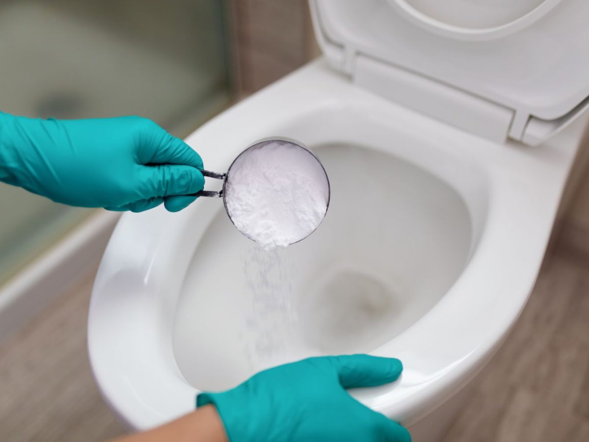 How to Unclog Your Toilet Without a Plunger? - Mattin Homes